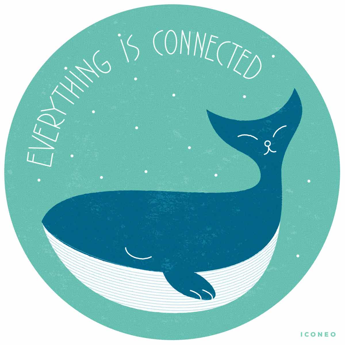 iconeo_catwhale – ICONEO